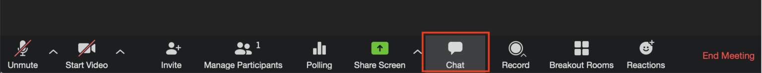 Zoom Meeting Controls to Secure Participant Actions | University ...