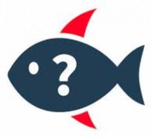 Reporting and Managing Suspicious Email | University Information ...